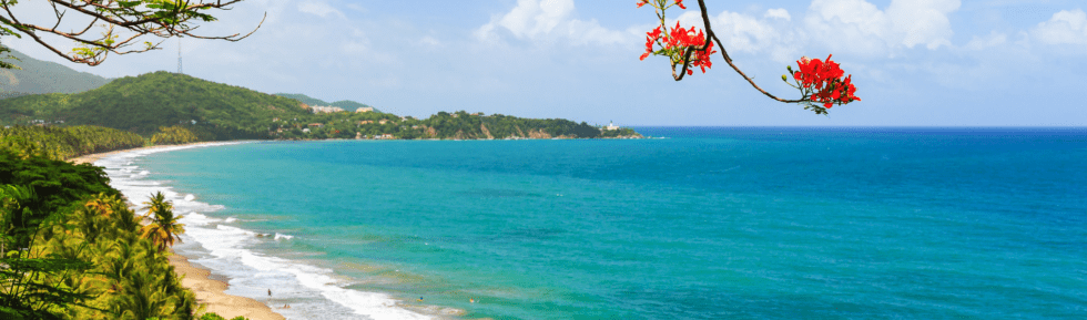 Banking in Puerto Rico in 2023: The Ultimate Guide