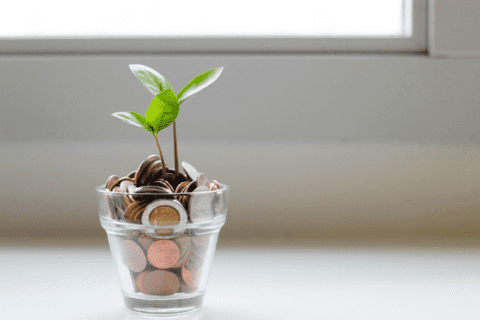 Five International High-Yield Savings Accounts