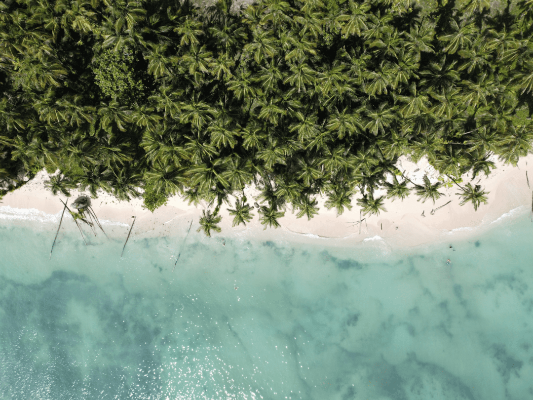 Retire in Panama: The Ultimate Guide for 2024