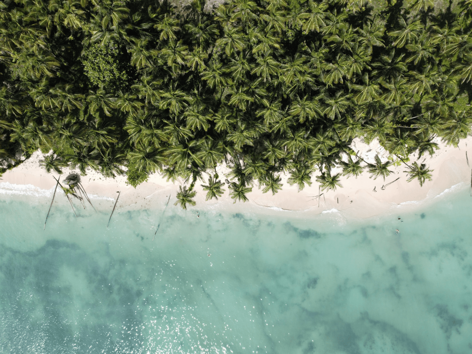 Retire in Panama: The Ultimate Guide for 2024
