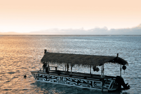 Starting a Business in the Cook Islands: The Ultimate Guide 2025