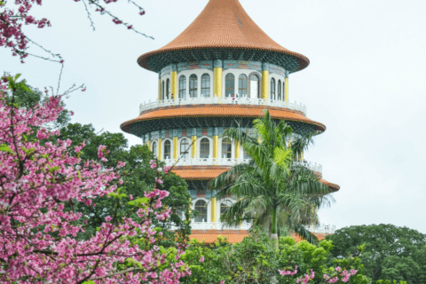 How to Get Japanese Citizenship by Descent: The Ultimate Guide