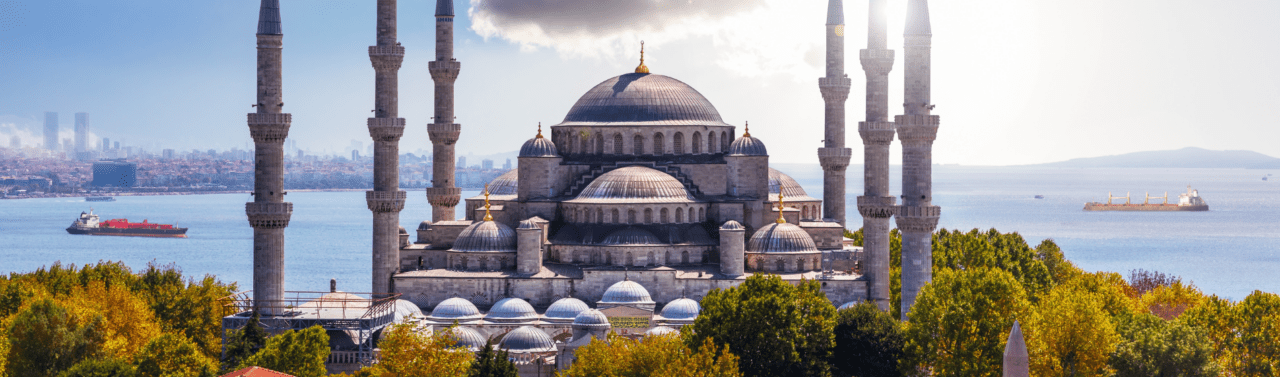 How to Get Turkish Citizenship by Descent in 2023