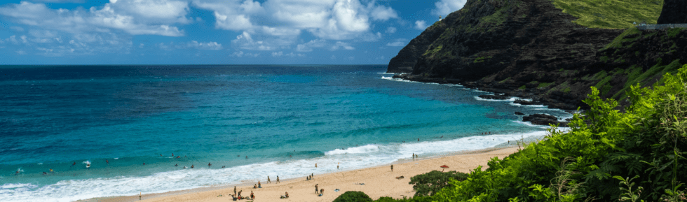 How to Set Up a Company in Barbados: The Ultimate Guide 2023