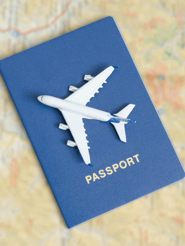 Nomad Passport Index Top 5 Passports Nomad Capitalist