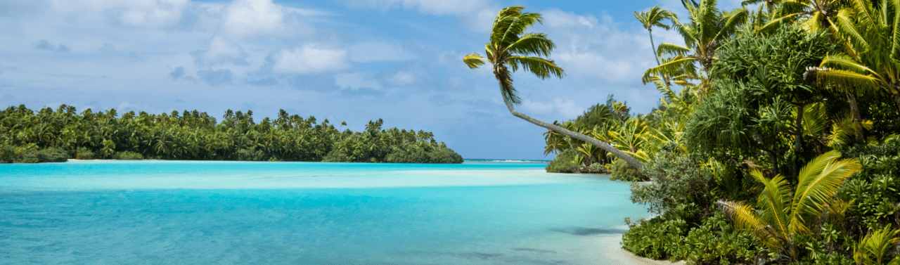 Starting a Business in the Cook Islands: The Ultimate Guide 2023