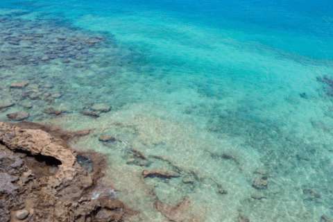 How to Establish Bermuda Residency in 2023: The Ultimate Guide