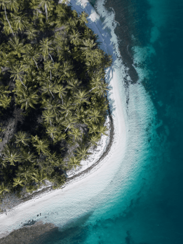 Five Low-Tax Countries in Latin America | Nomad Capitalist